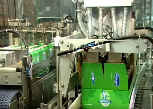Auto Case Packer Machine For Bottled / Canned Beer With Carton Erector ...